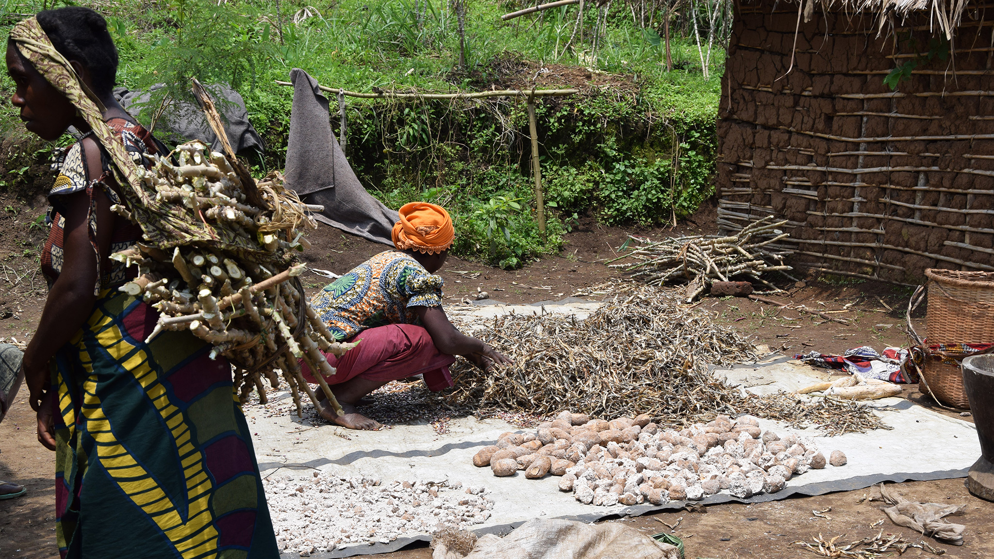 Democratic Republic of the Congo: Agricultural projects that keep hope ...