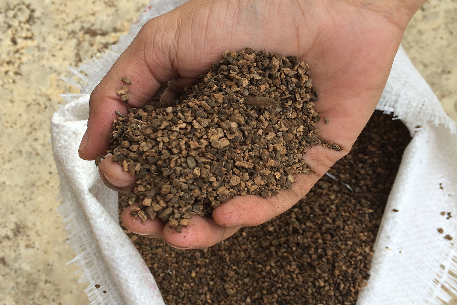 Olives bring warmth to Lebanese health centre | International Committee ...