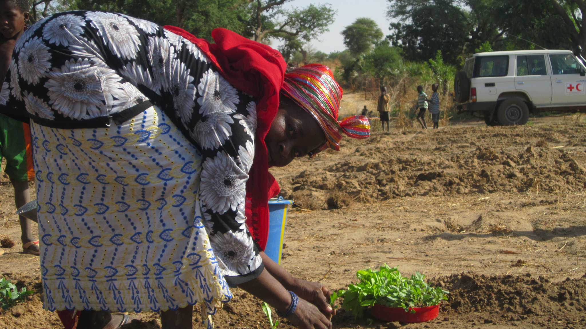 Niger: How we helped the people of Diffa in 2015 | International ...