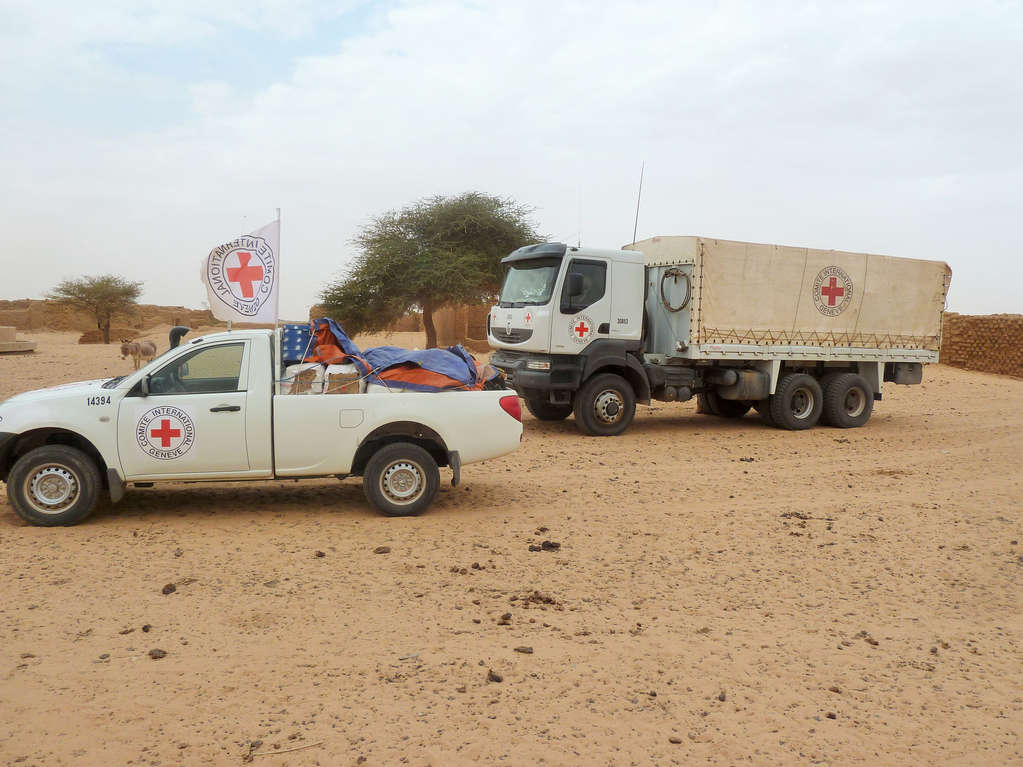 Notre action au Mali, de janvier à juin 2017 | Comité international de ...