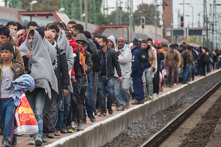 Make your voice count: Help shape future humanitarian action ...