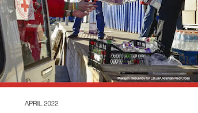 The ICRC Logo: Do and Don’ts | International Committee of the Red Cross