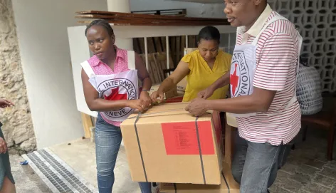 Le Mouvement international de la Croix-Rouge et du Croissant-Rouge ...
