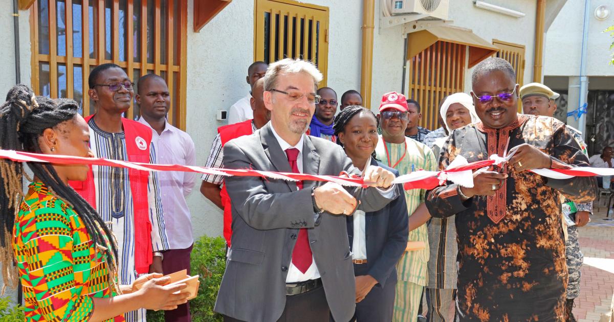 Our government partnerships | ICRC