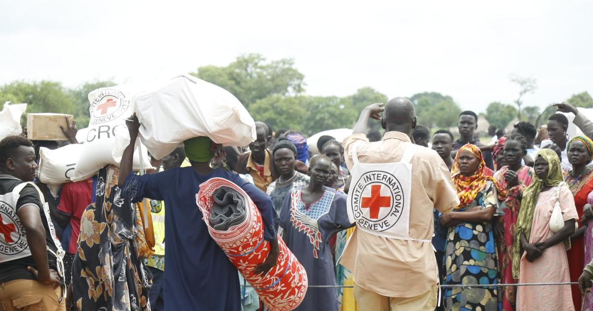 Distribution of food and essential household items to South Sudanese ...