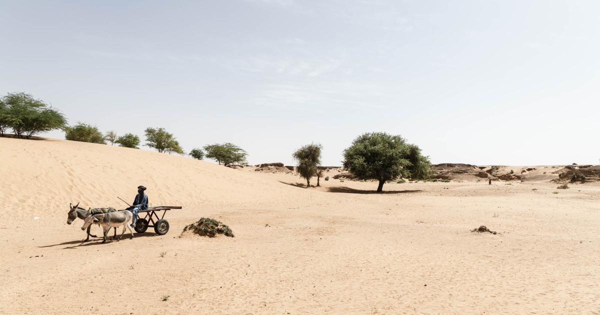 Mali-Niger: Climate change and conflict make an explosive mix in the ...