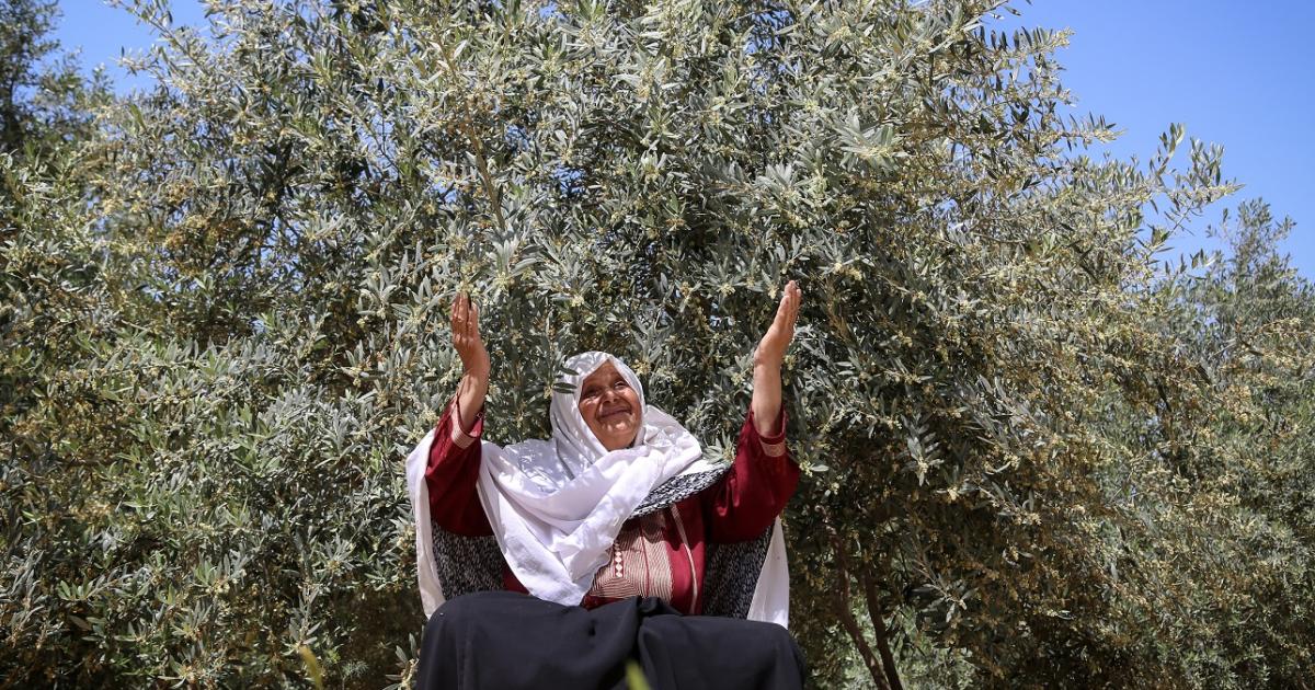 When will the phoenix rise again? | International Committee of the Red ...