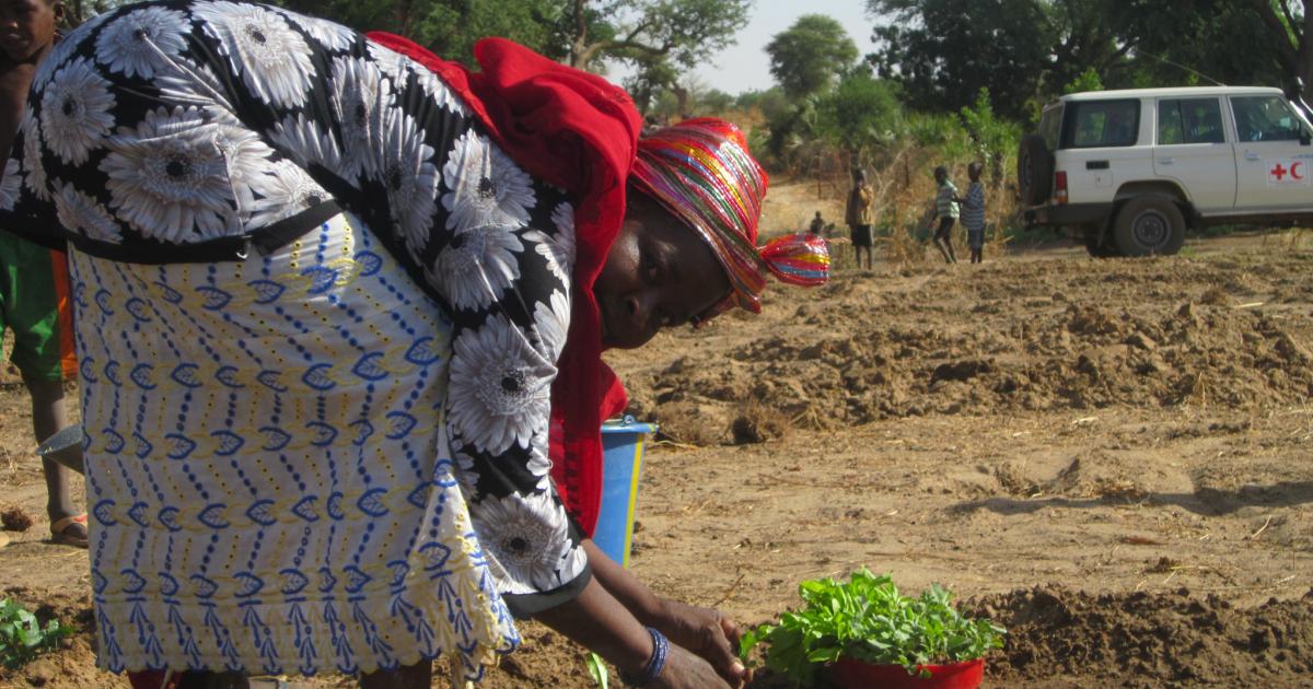 Niger: How we helped the people of Diffa in 2015 | International ...