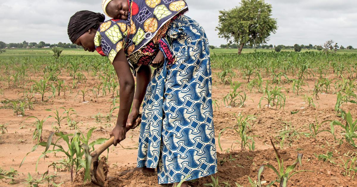 Nigerian Women Working