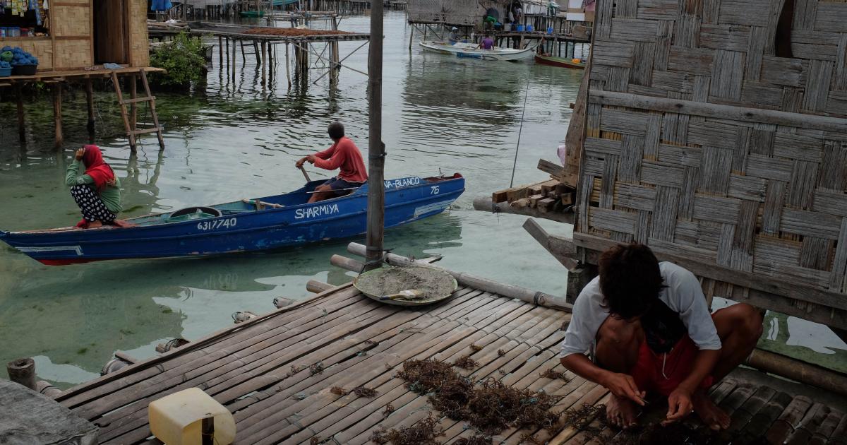 Philippines: Helping seaweed-farming community stay afloat in Zamboanga ...