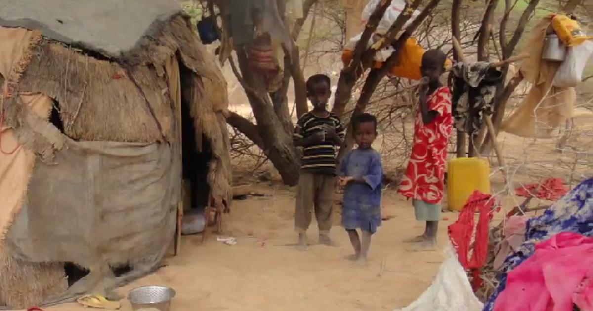 Horn of Africa: Declining food security | International Committee of ...