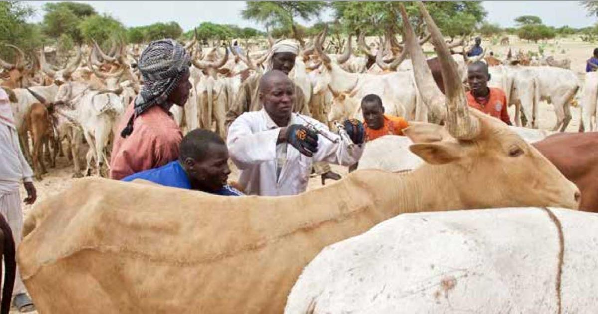 Tchad : notre action en 2016 | Comité international de la Croix-Rouge