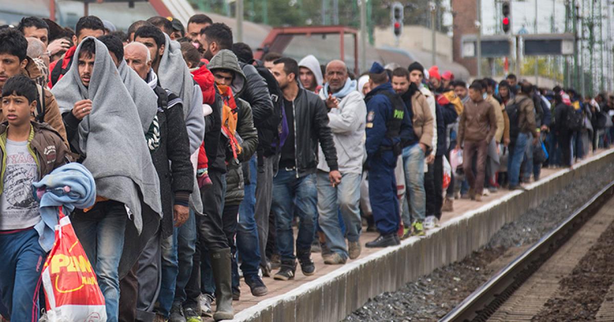 Make your voice count: Help shape future humanitarian action ...