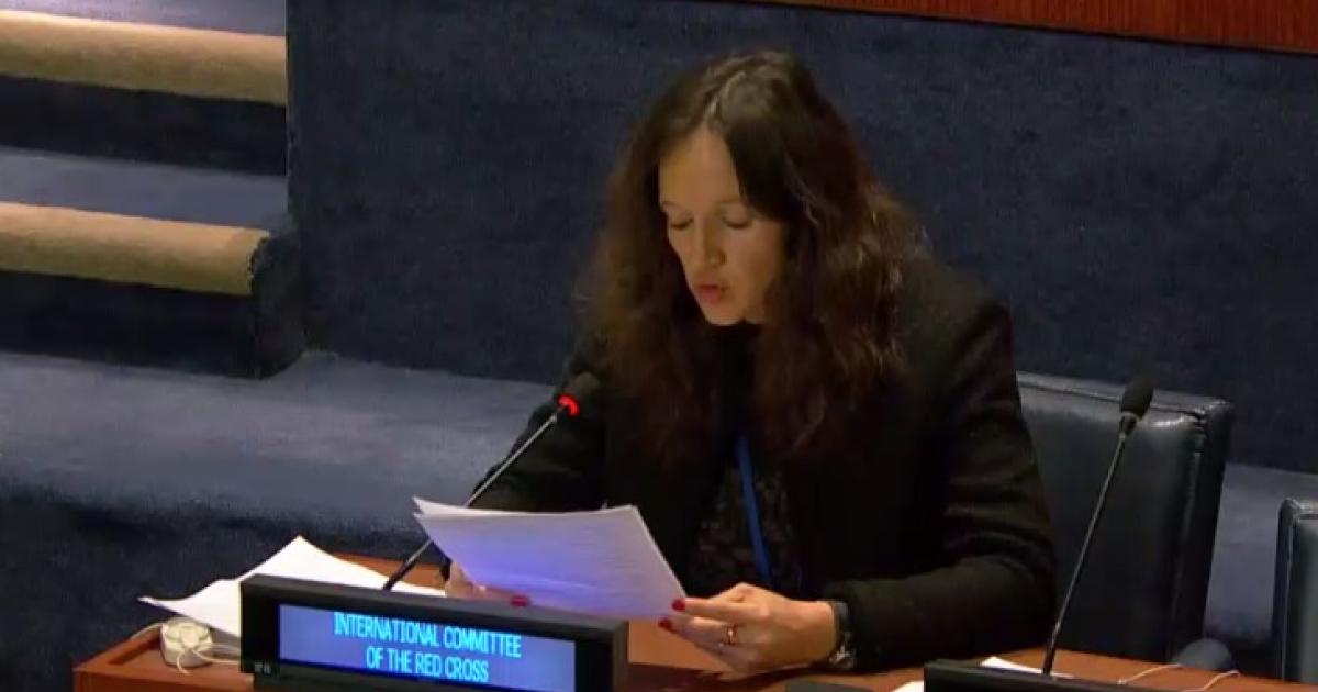 Peacekeeping Operations: ICRC Statement to the United Nations, 2019 ...