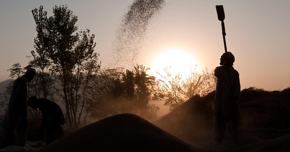 Food security in times of armed conflict: What you need to know | ICRC