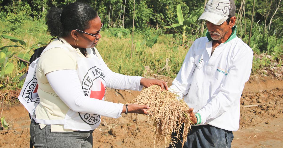 Colombia: Humanitarian Report 2024 | International Committee of the Red ...