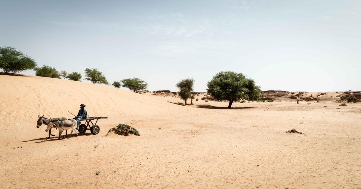 Mali: Climate change in a conflict zone | ICRC