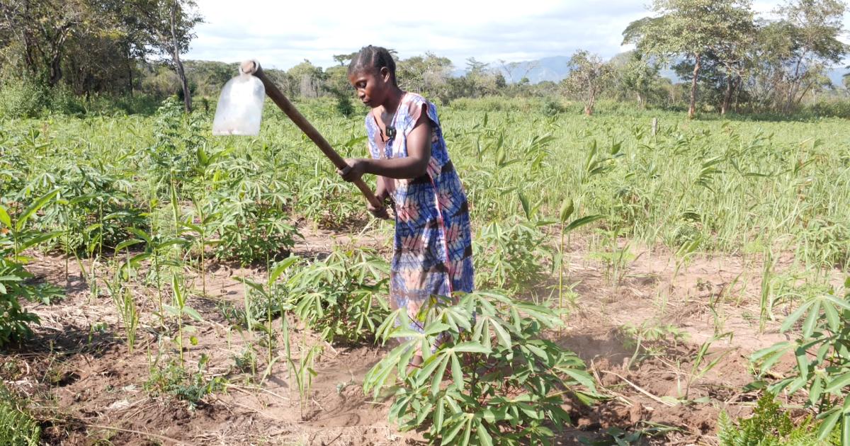 DR Congo: when food insecurity adds to the hardships caused by violence ...