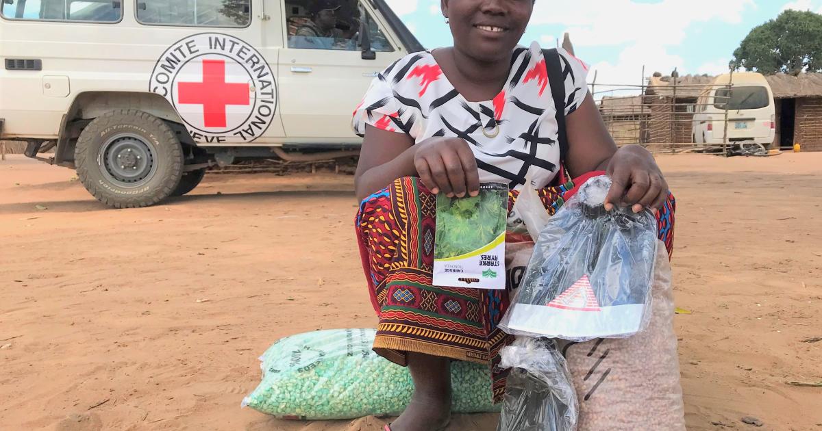 Mozambique: Communities return to their areas of origin with a shortage ...